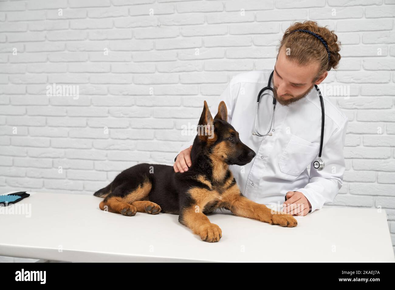 Portrait of veterinary and his animal patient. Vet in white lab coat ...