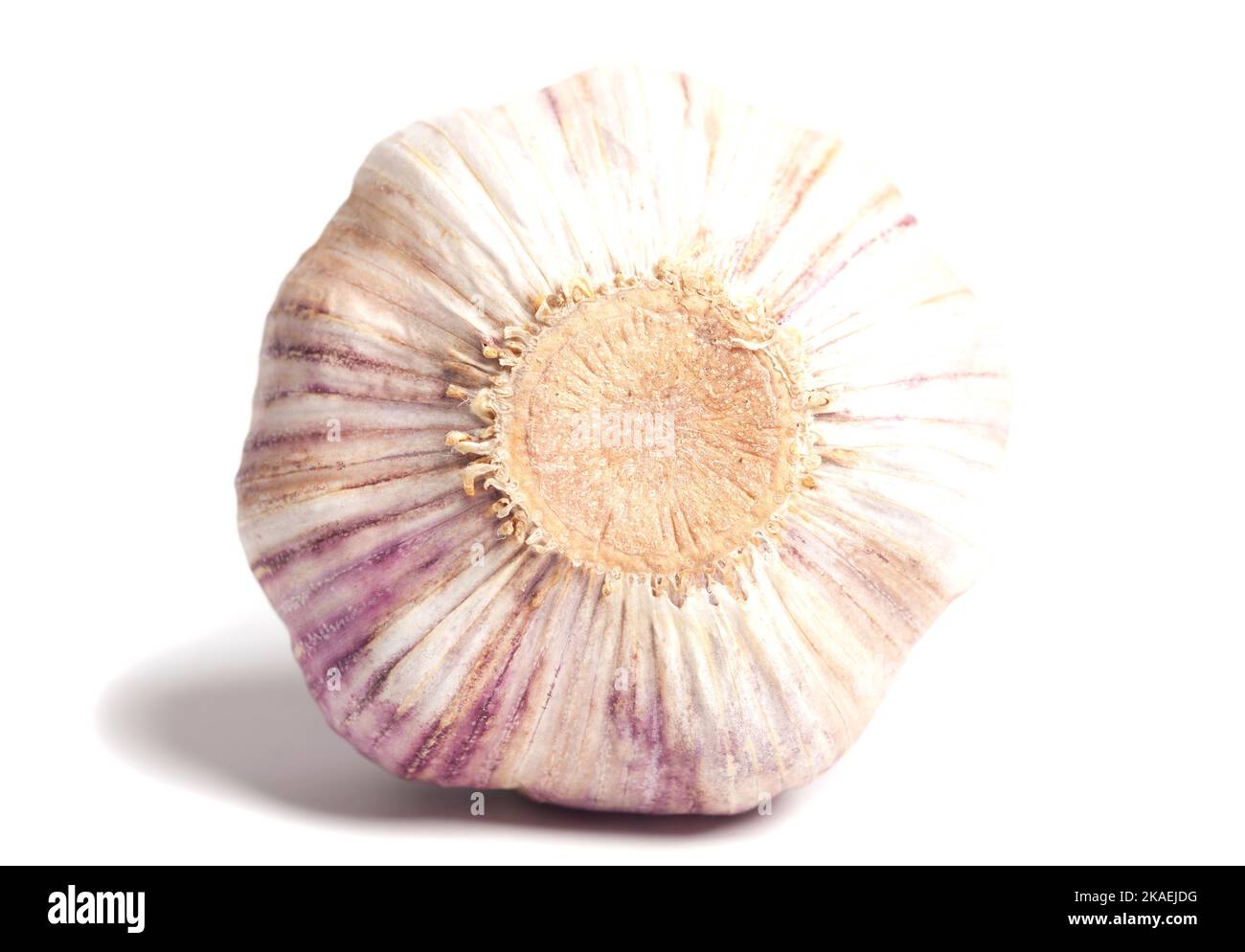 Fresh young garlic isolated on white background Stock Photo - Alamy