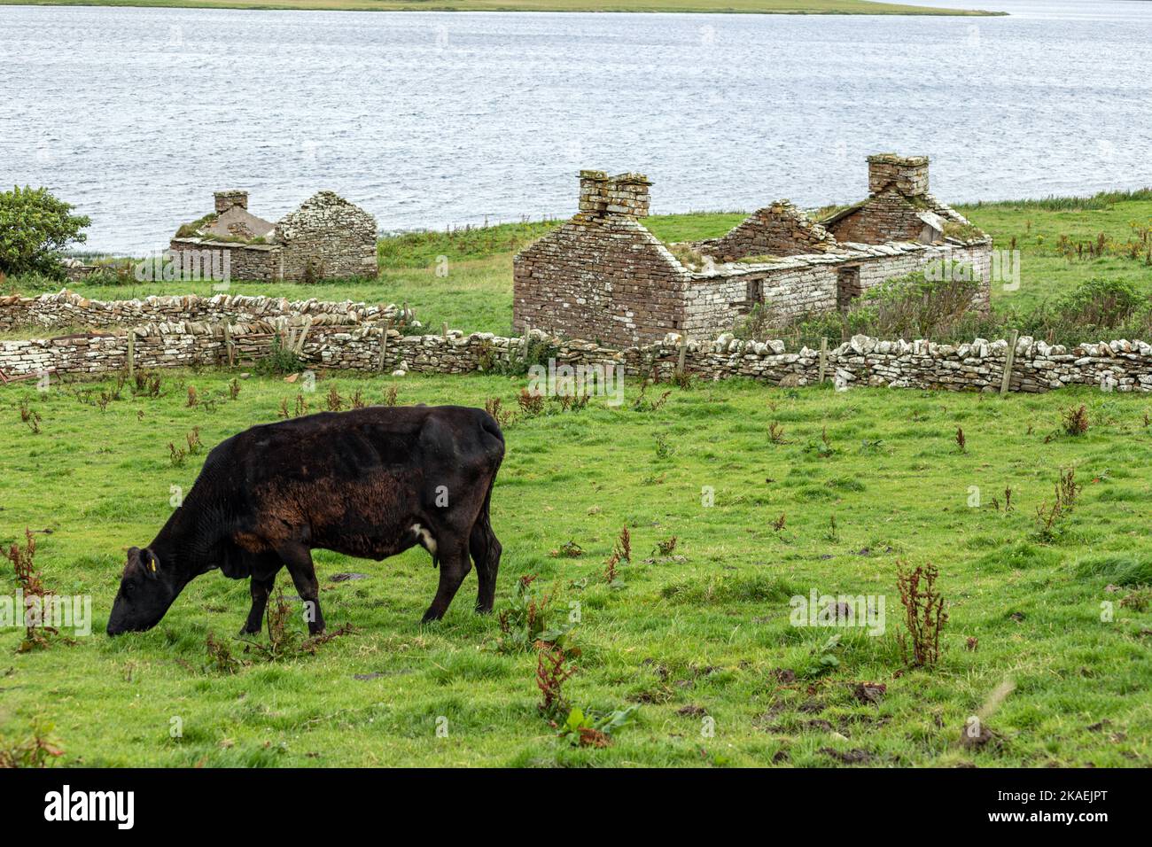 Loch of boardhouse hi-res stock photography and images - Alamy