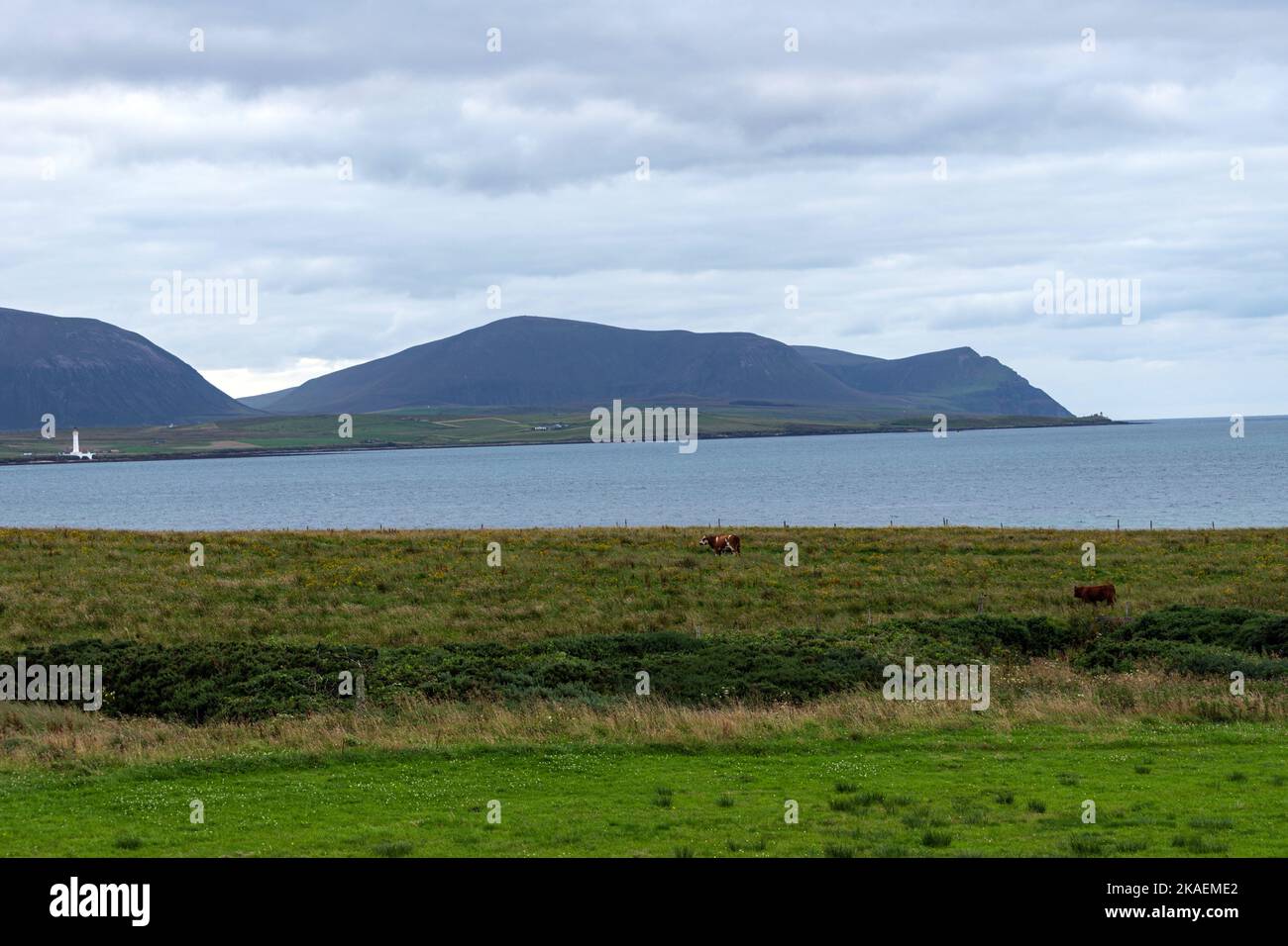 View of hoy high lighthouse from button ben guest house hi-res stock ...