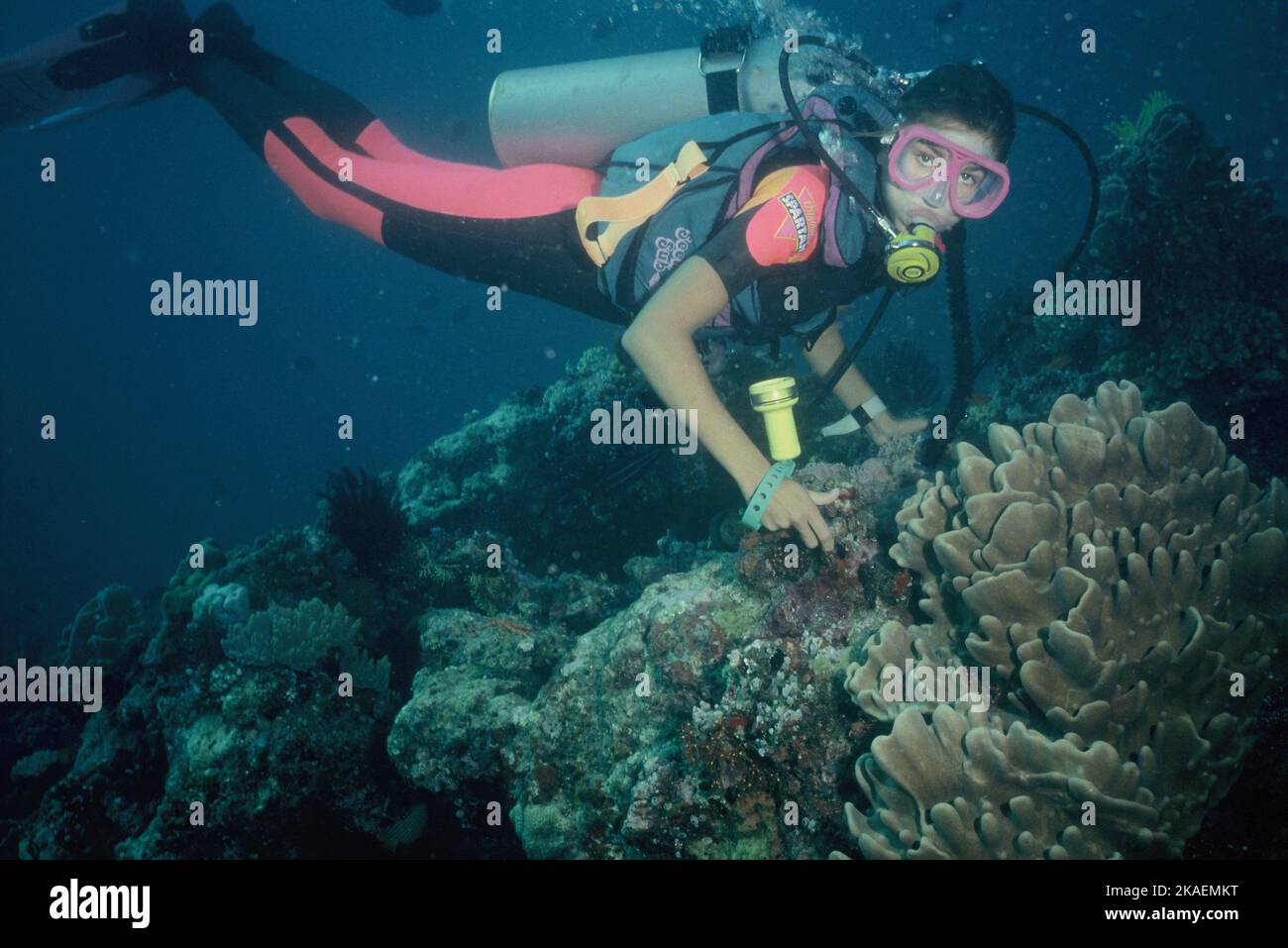 Maldives. Young woman Scuba Diver exploring coral reef Stock Photo - Alamy