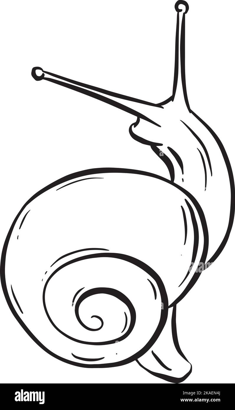 Line Art Outline of a Garden Snail with Shell for Logo or Mascot Design ...