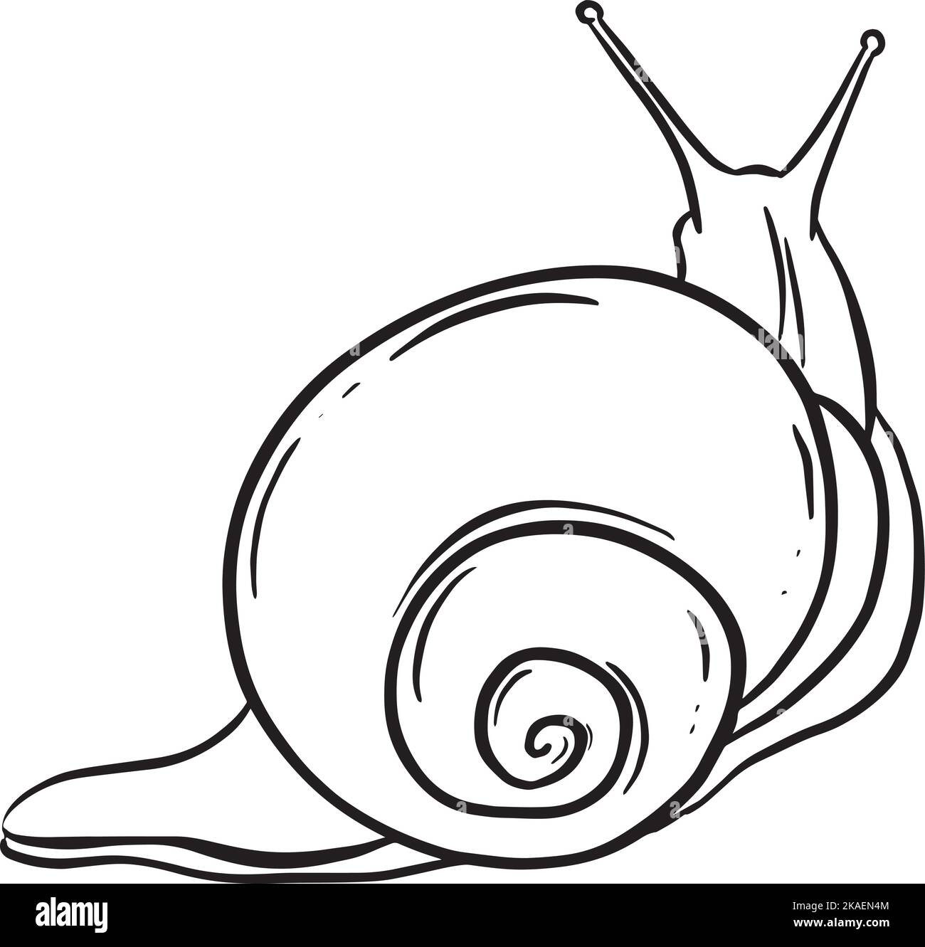 Line Art Outline of a Garden Snail with Shell for Logo or Mascot Design ...