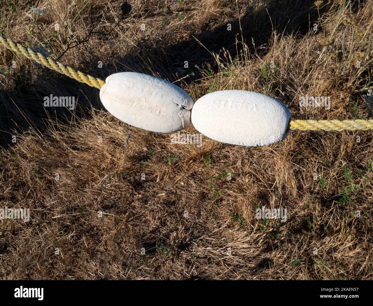 WA22657-00...,WASHINGTON - A couple of weathered floats serve as ...