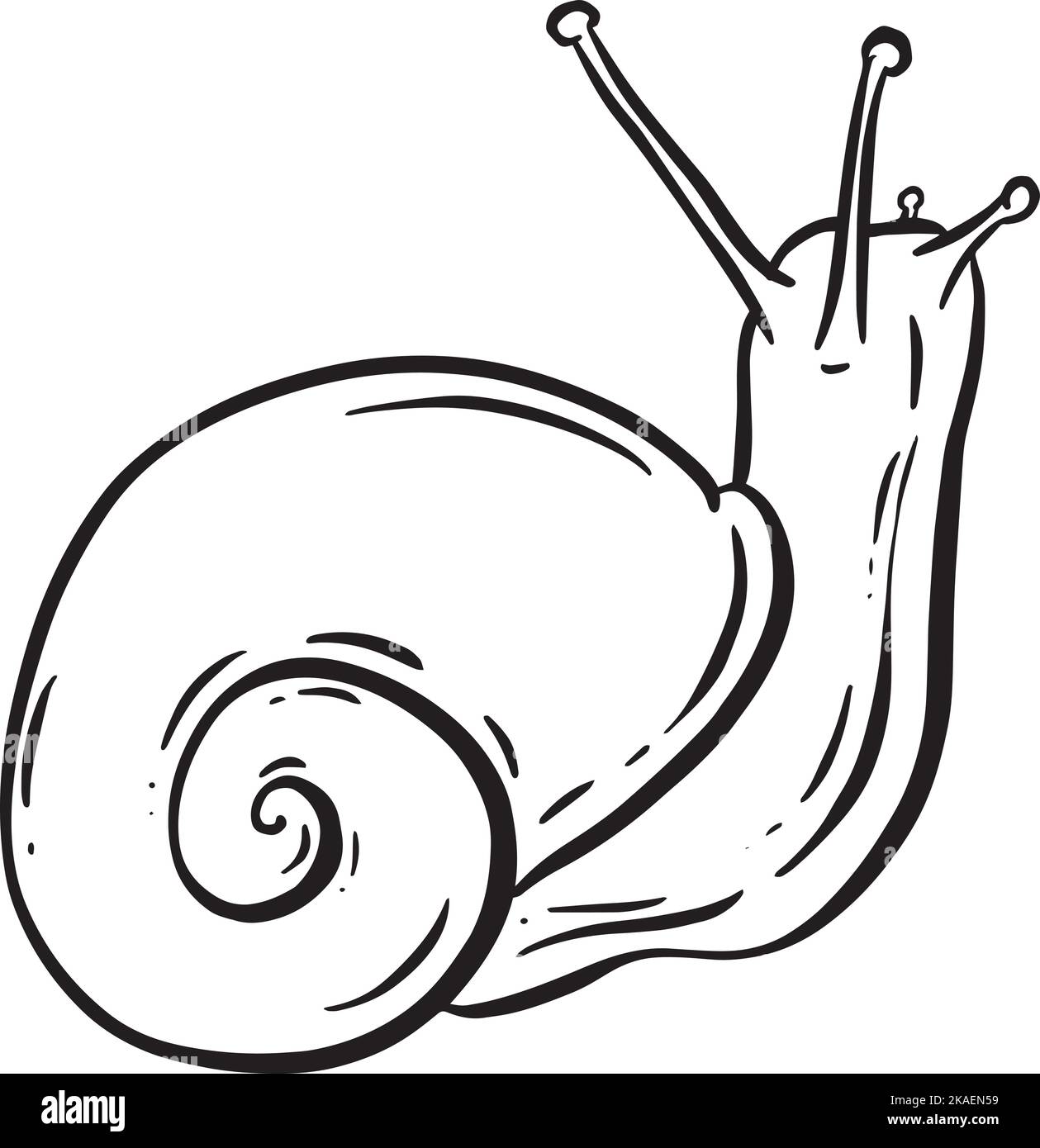 Line Art Outline of a Garden Snail with Shell for Logo or Mascot Design ...