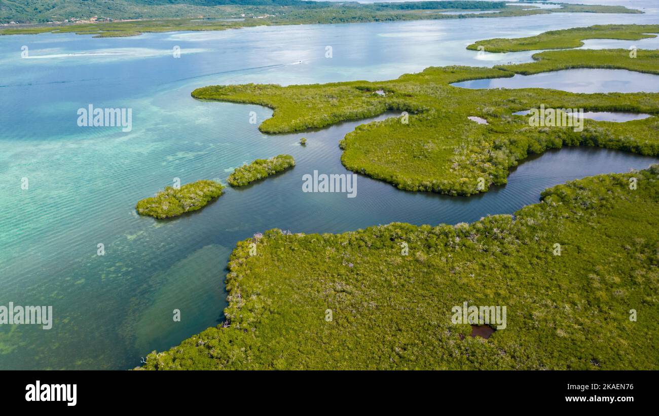 An aerial view of a blue lagoon with green shore on a bright sunny day ...