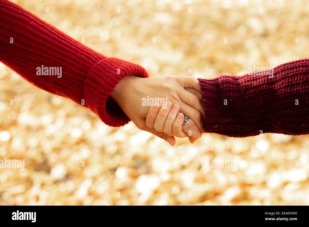 Closeup photo of warm handshake of two persons in red knitted sweaters ...
