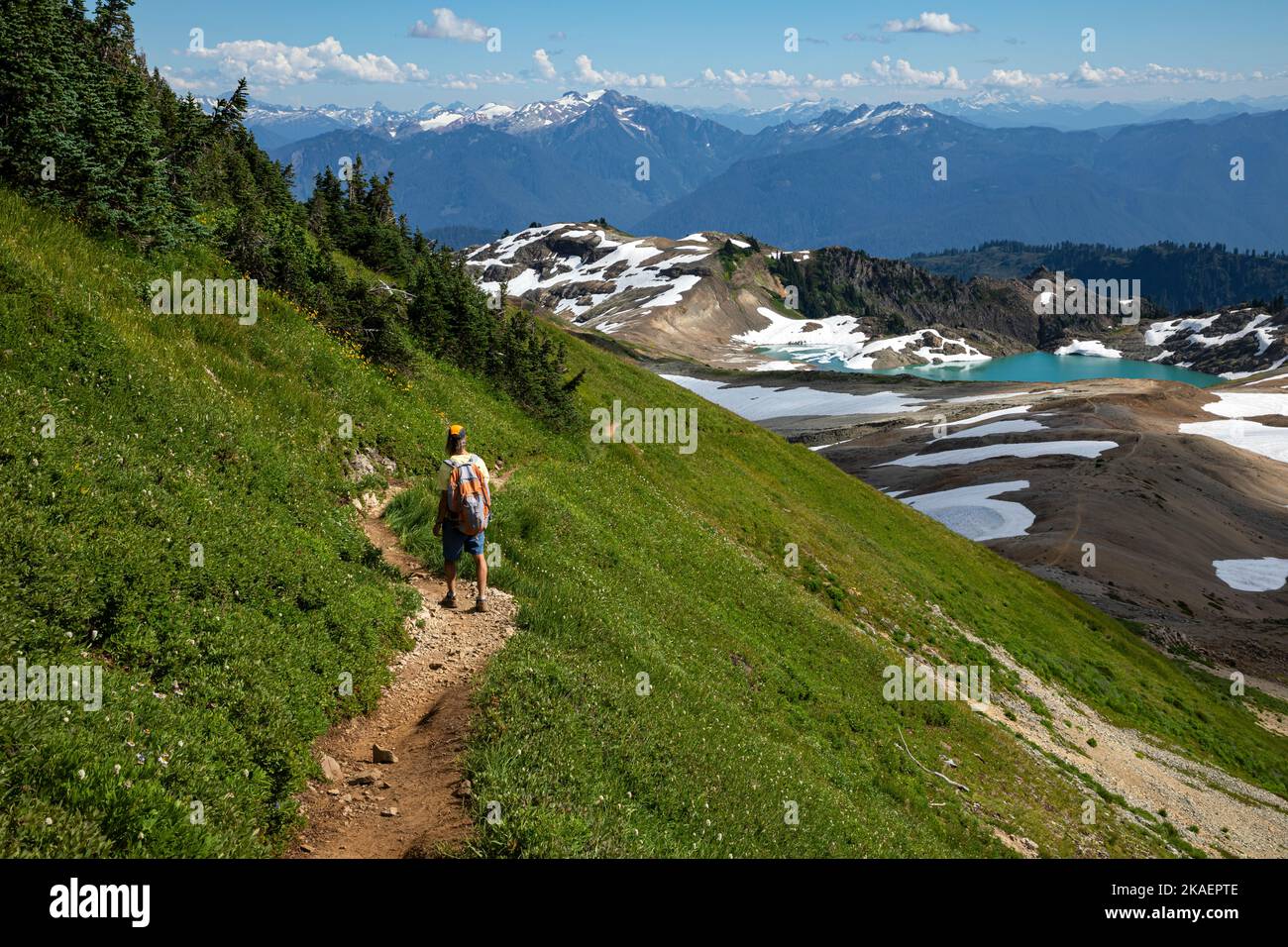 WA22688-00...WASHINGTON - Hiker on the Ptarmigan Ridge Trail ...