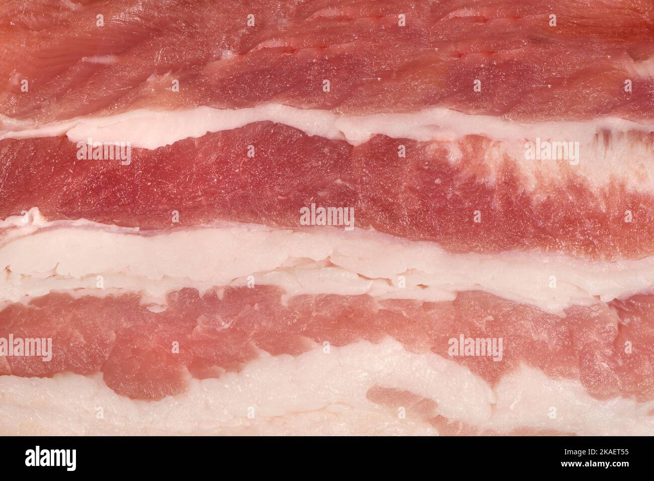 Fresh pork sliced small portions. Raw bacon background. High resolution ...