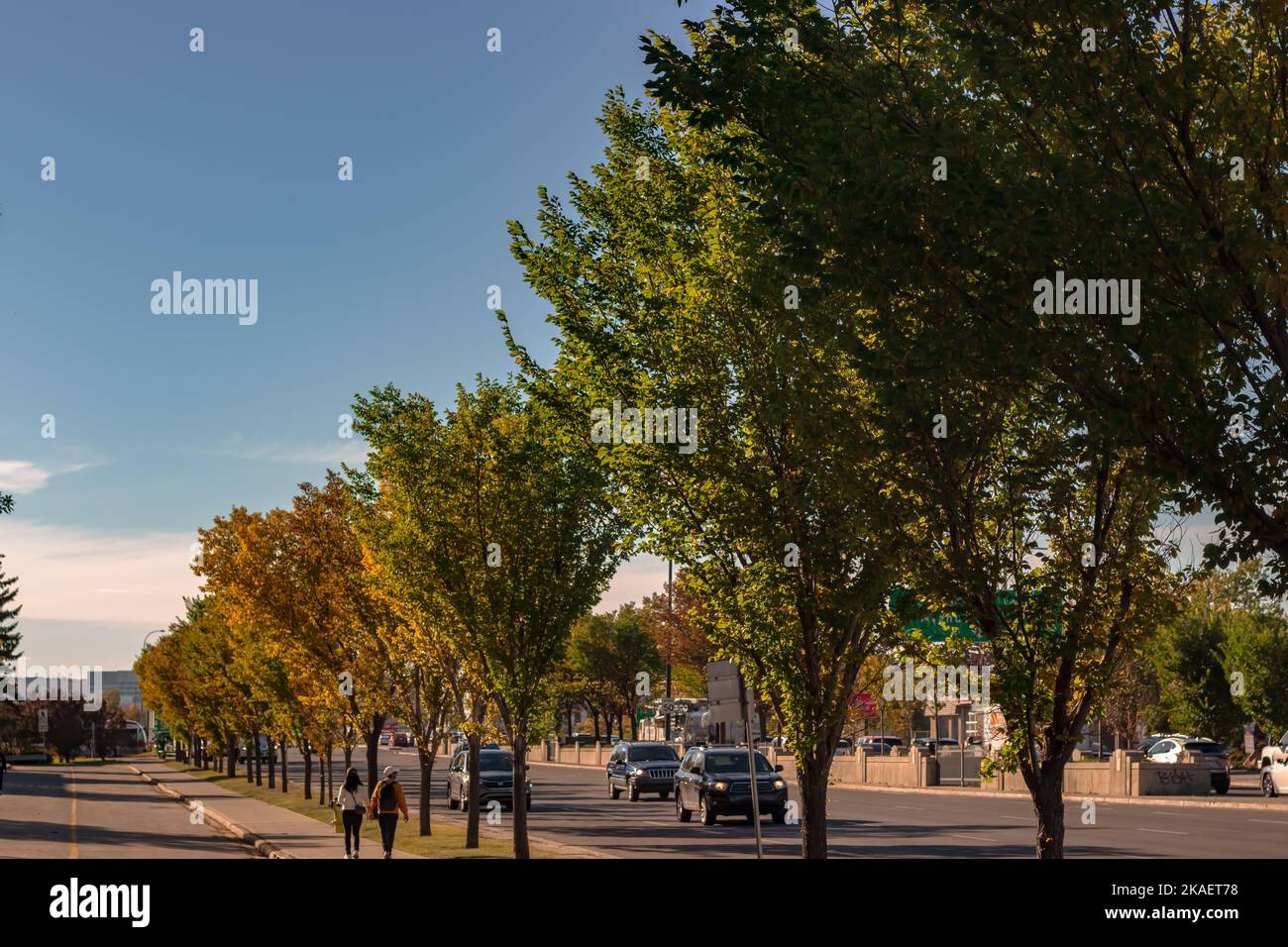 fall trees with traffic on one side and a sidewalk on the other Stock ...