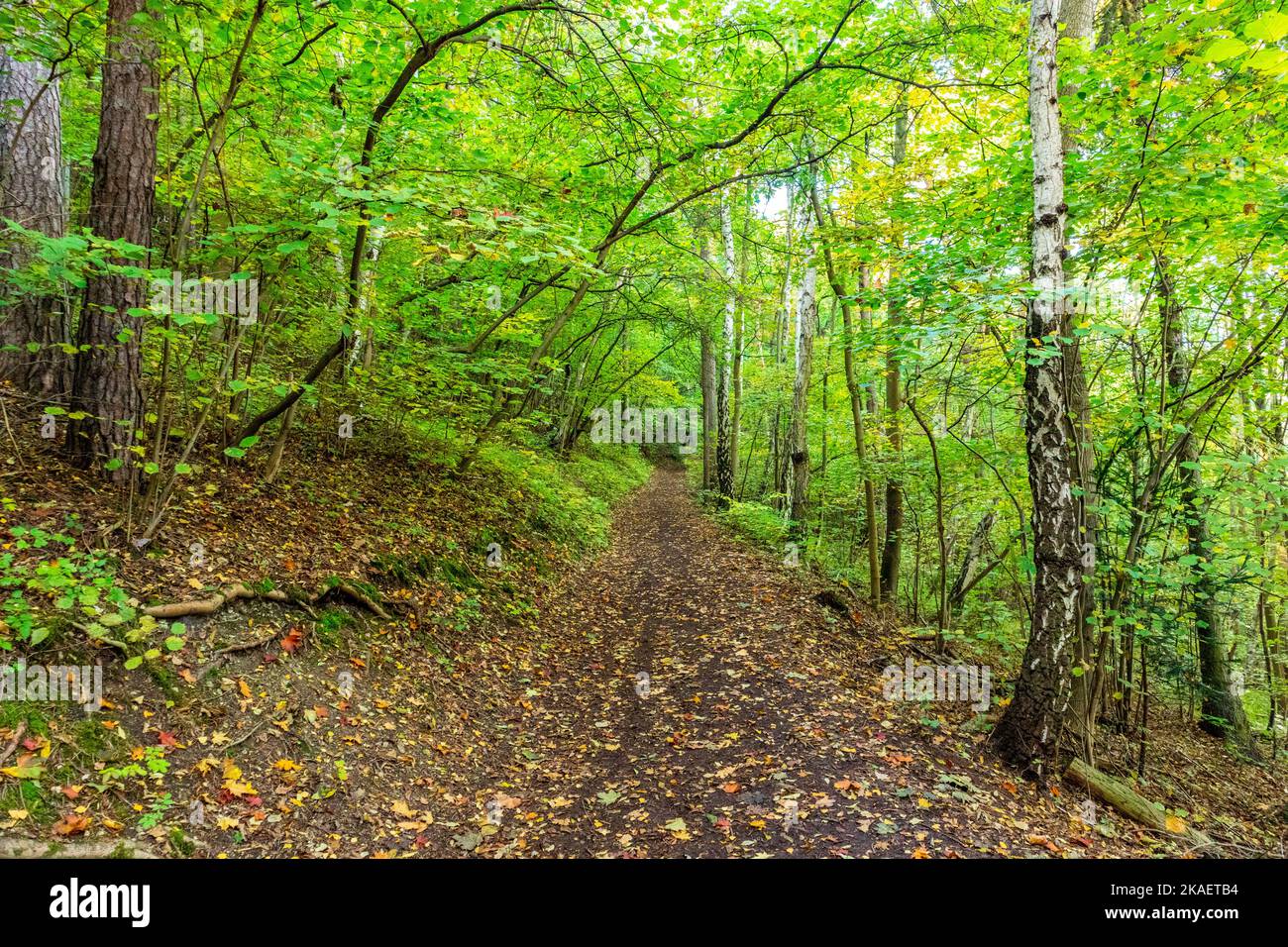 Small Autumn walk through the landscape of Jena - Thuringia - Germany ...