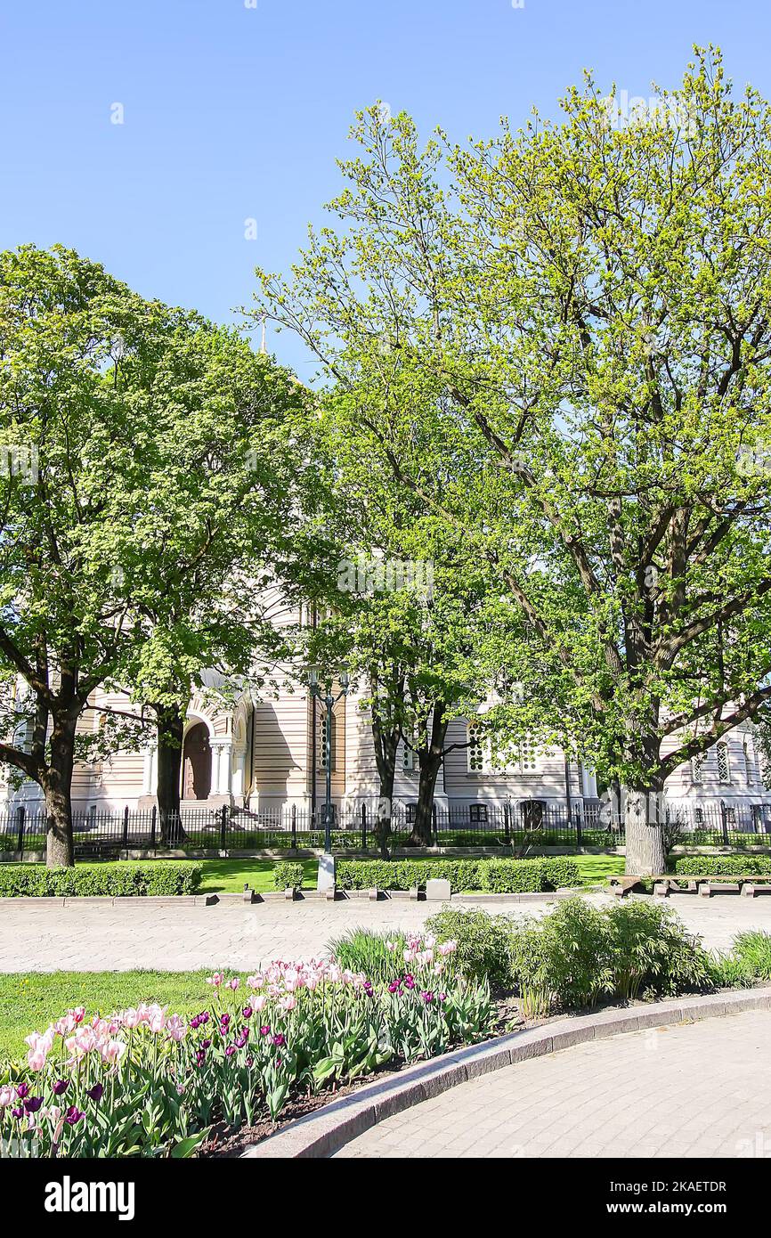 Spring landscape in urban park with flowering plants Stock Photo - Alamy