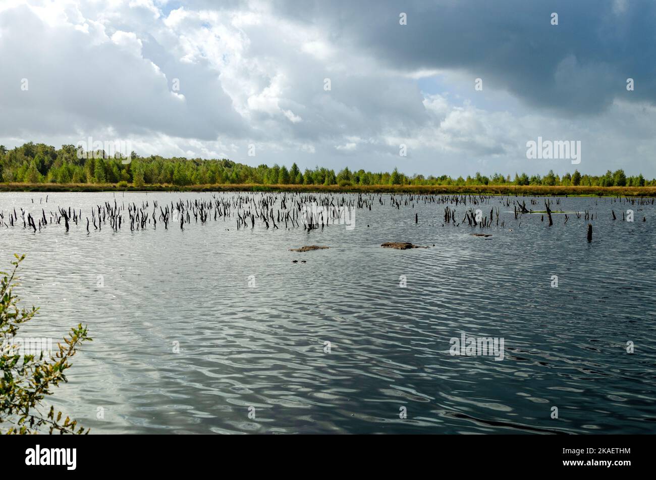 Beautiful moorland landscape in northern Germany Stock Photo - Alamy