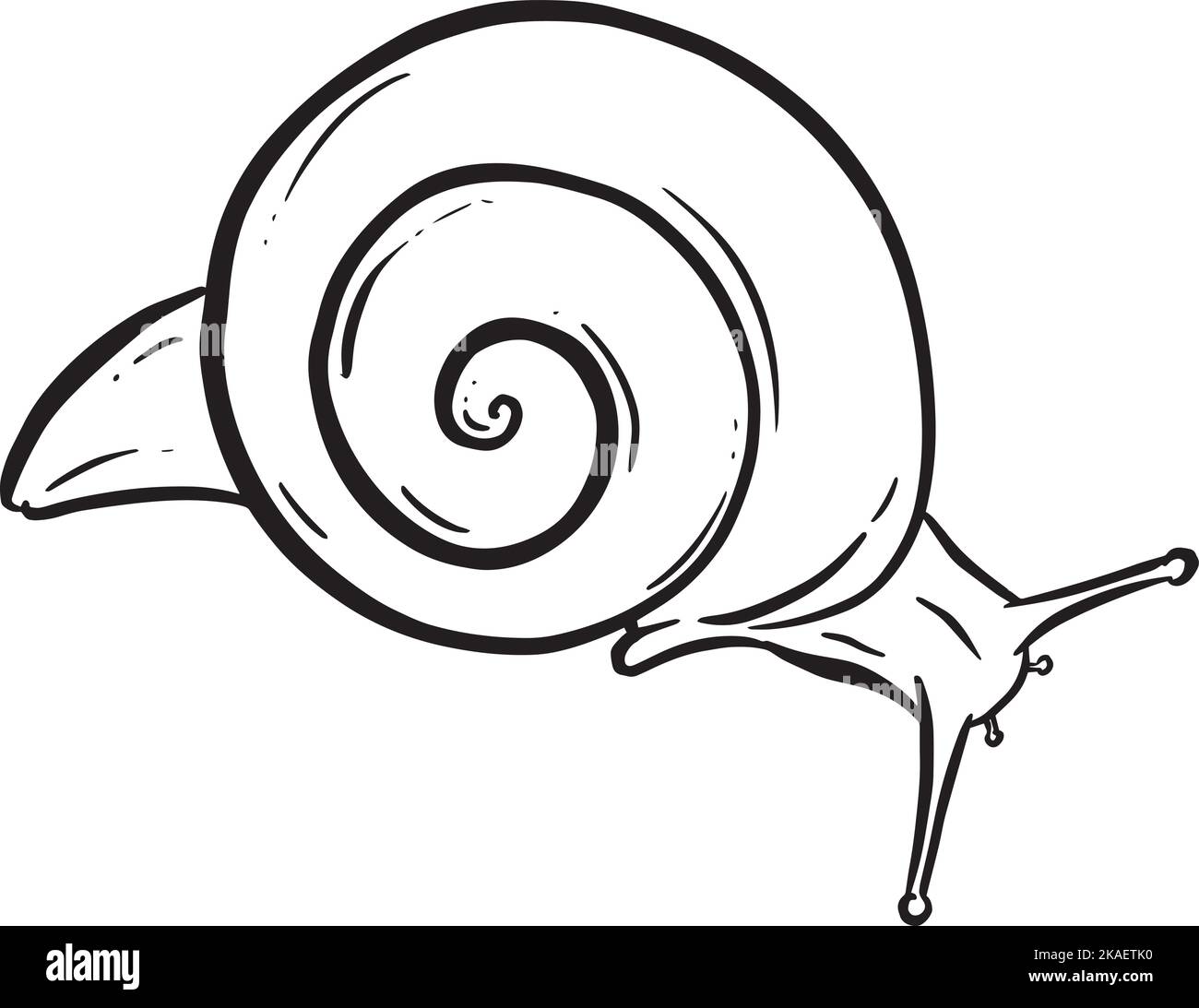 Snail Drawing Outline