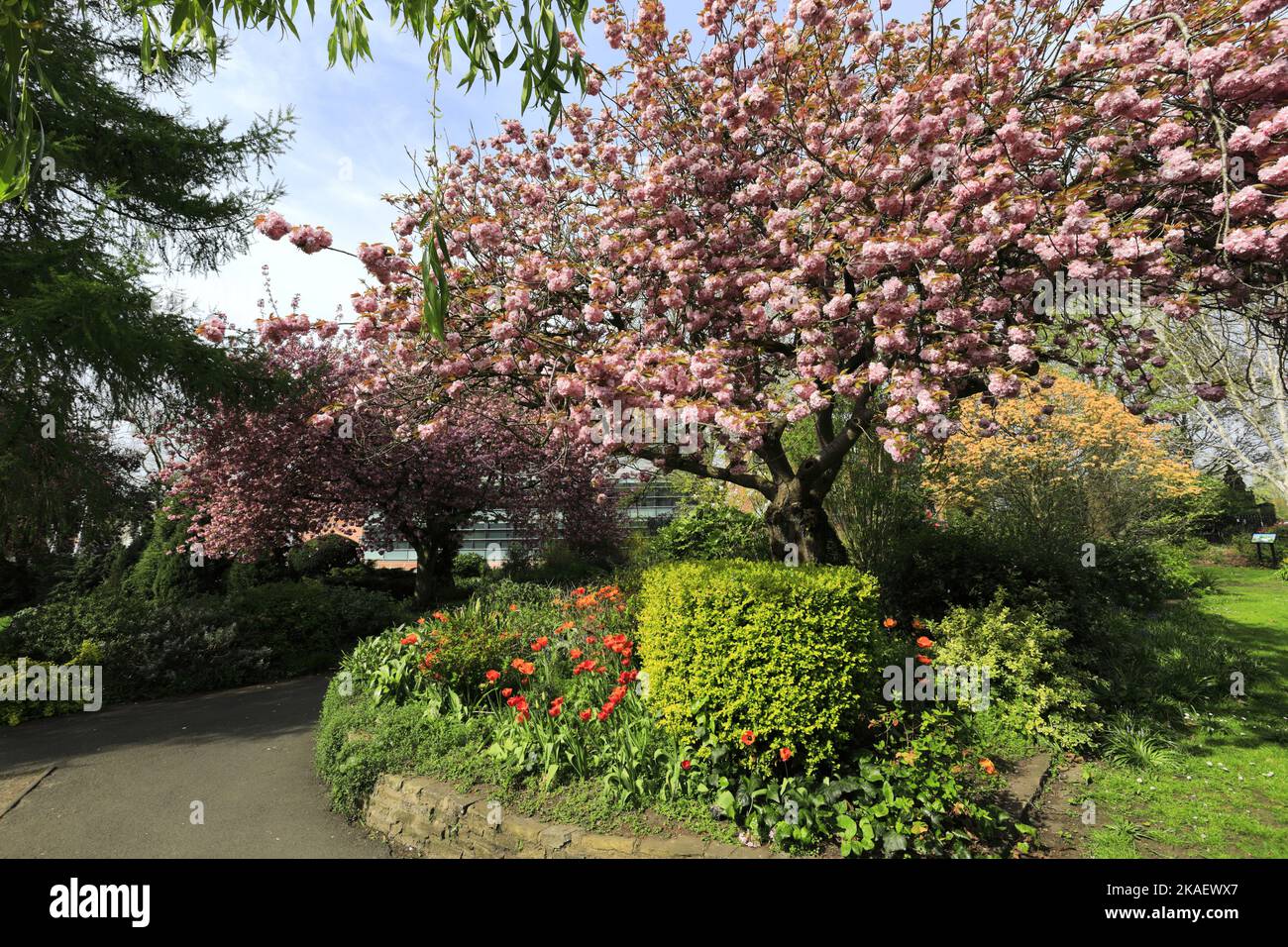 Spring trees castle gardens hi-res stock photography and images - Alamy