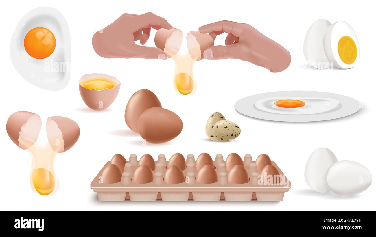 Eggs cook realistic icon set fried hard boiled raw eggs in hand and in shells packaged eggs ...