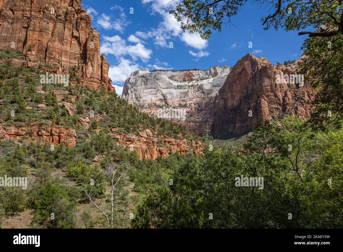 One of Zion's most impressive landmarks, the towering white monolith of ...
