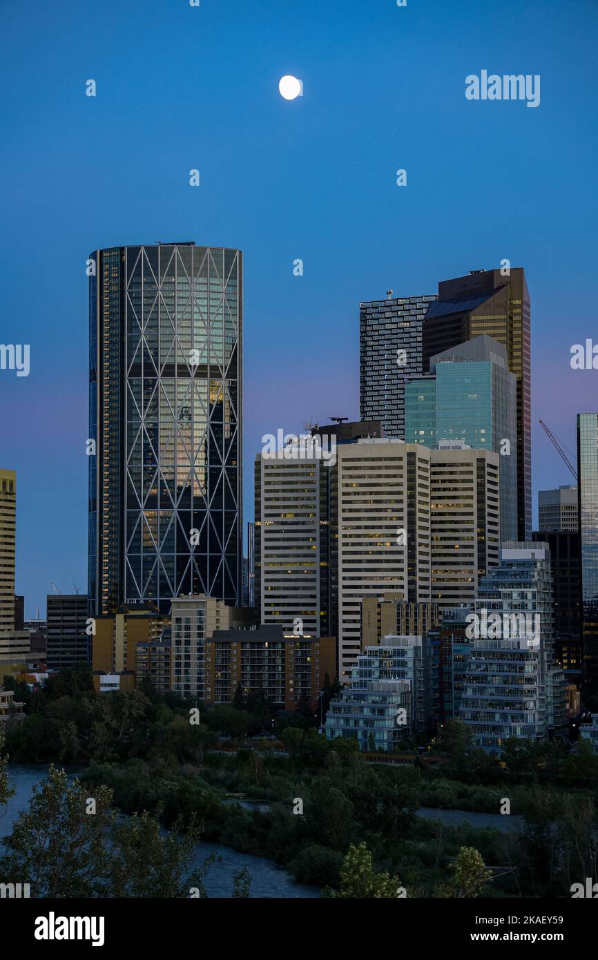 A vertical shot of the Bow and other skyscrapers and surrounding ...