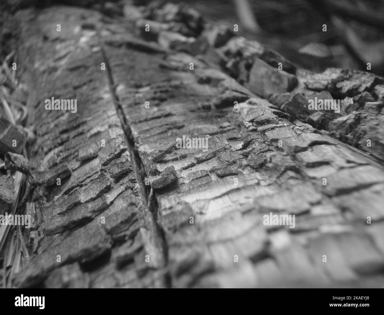 Sony w 120 hi-res stock photography and images - Alamy