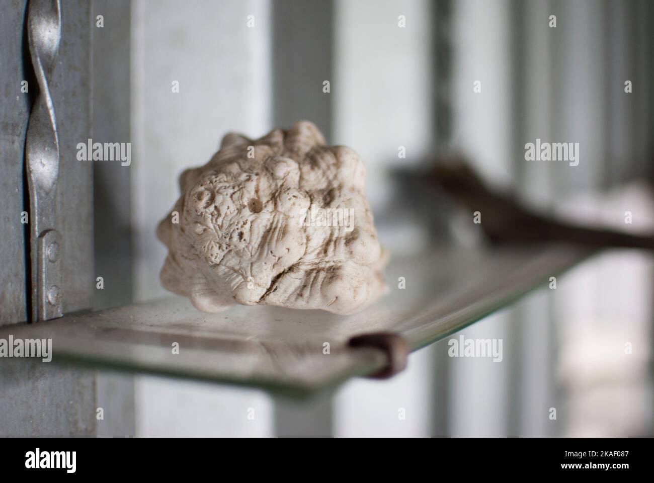 Vintage shell poster hi-res stock photography and images - Alamy