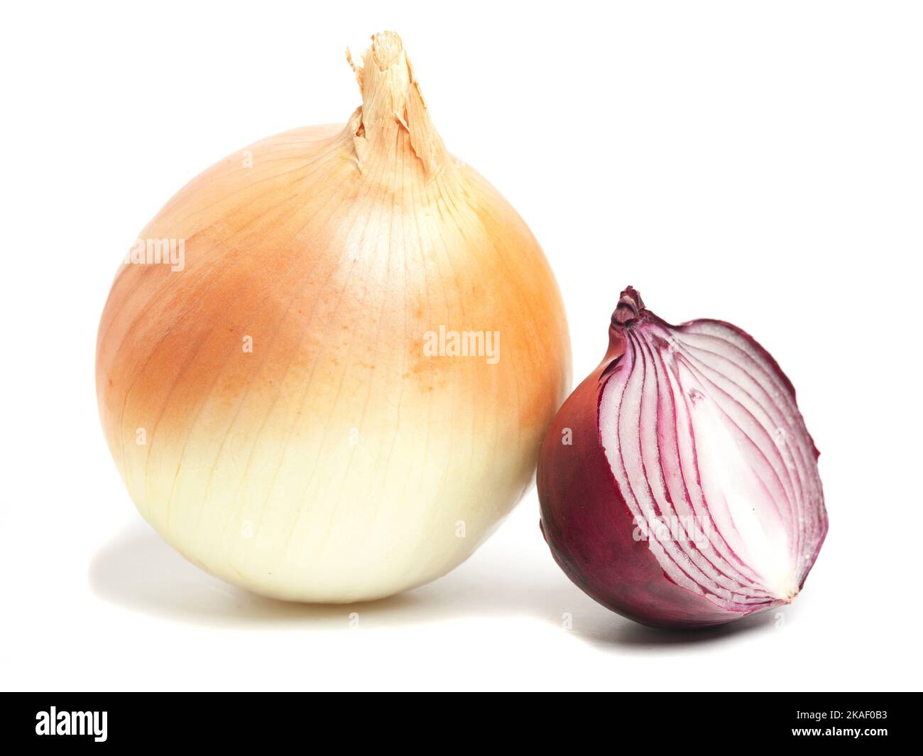 Onion, isolated on white background Stock Photo - Alamy