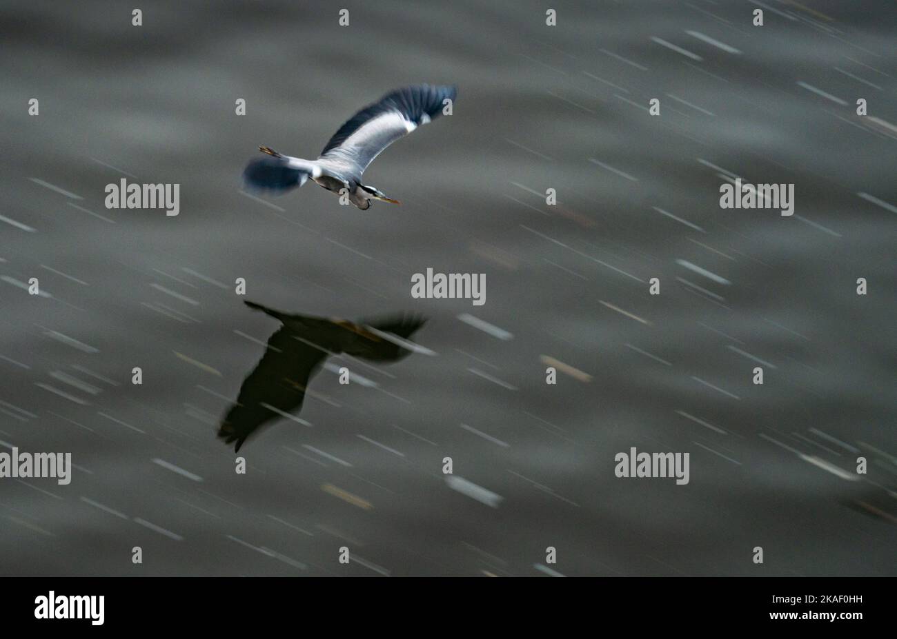 Pull along effect hi-res stock photography and images - Alamy