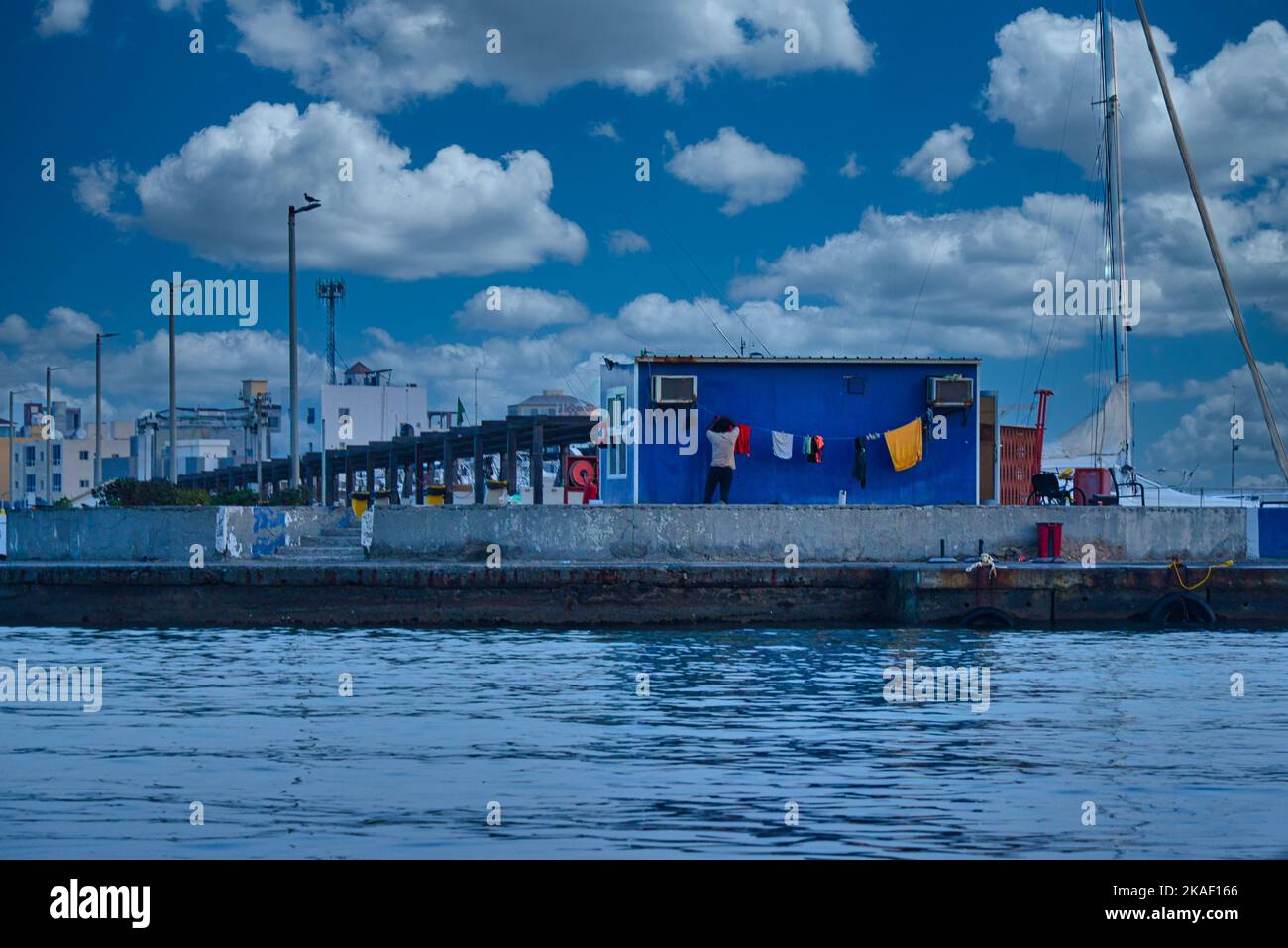 Sea shore life in Saudi Arabia Stock Photo - Alamy Sea shore life in Saudi Arabia Stock Photo - Alamy