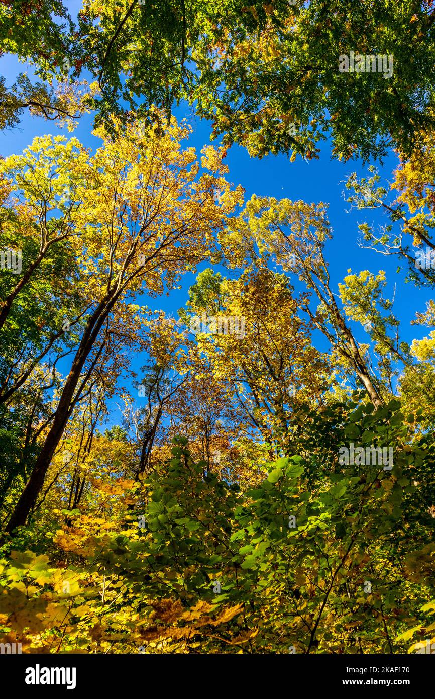 Small Autumn walk through the landscape of Jena - Thuringia - Germany ...