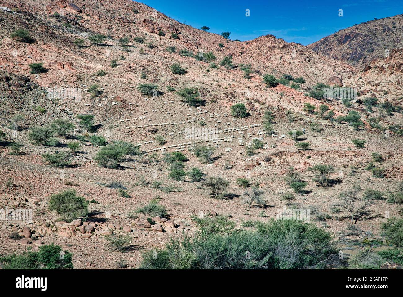 Nature view and the landscape of Saudi Arabia Stock Photo - Alamy