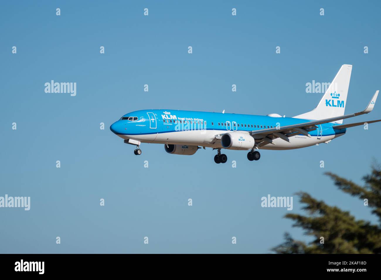 Several planes on the runway of the airline Ryanair, easyJet and TAP ...