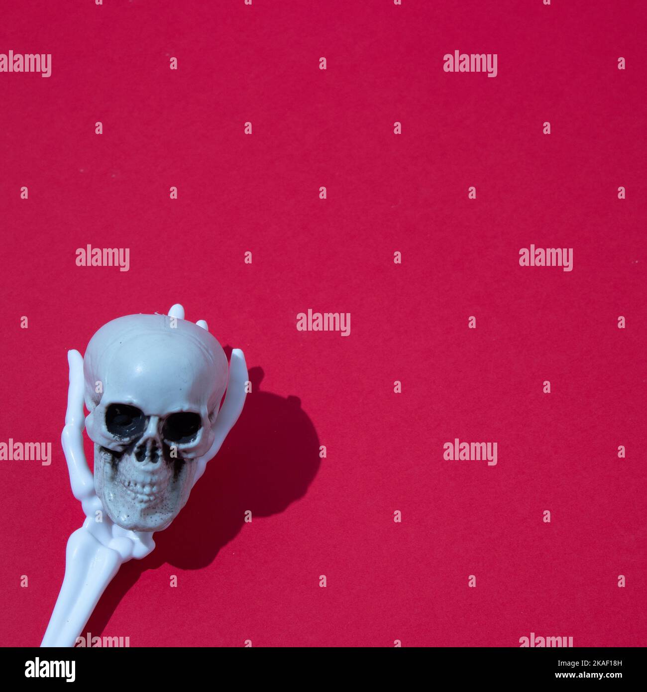 A skull in a skeleton hand on the pink background - the concept of ...