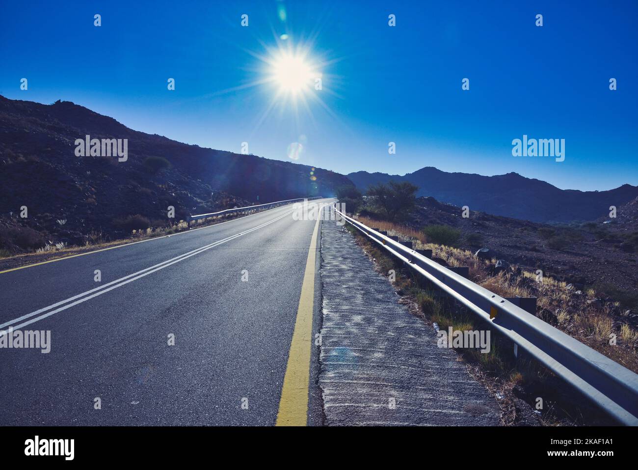 Arabian forest hi-res stock photography and images - Alamy