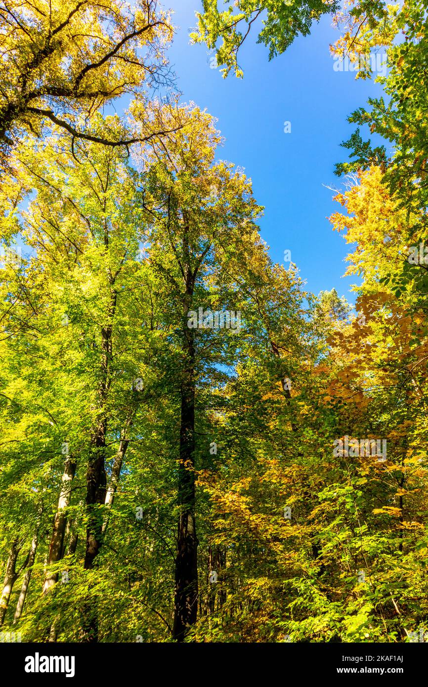 Small Autumn walk through the landscape of Jena - Thuringia - Germany ...