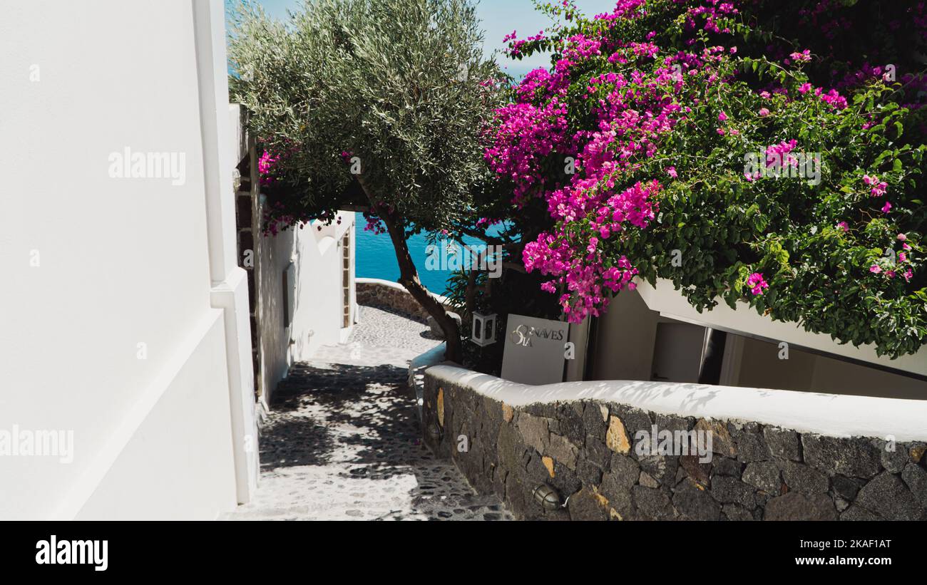 A narrow pathway passing between beautiful white buildings and blooming ...