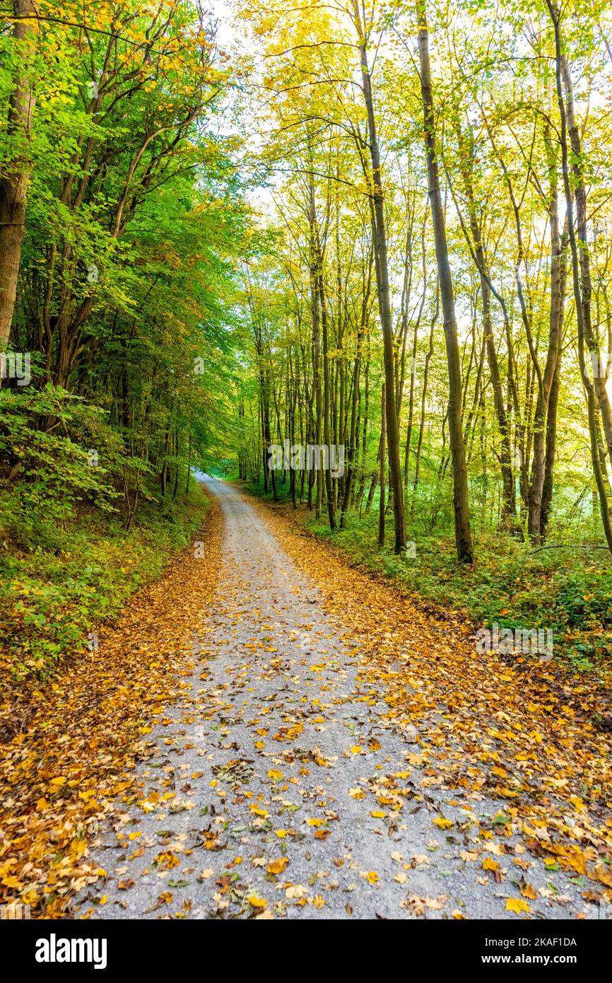 Small Autumn walk through the landscape of Jena - Thuringia - Germany ...