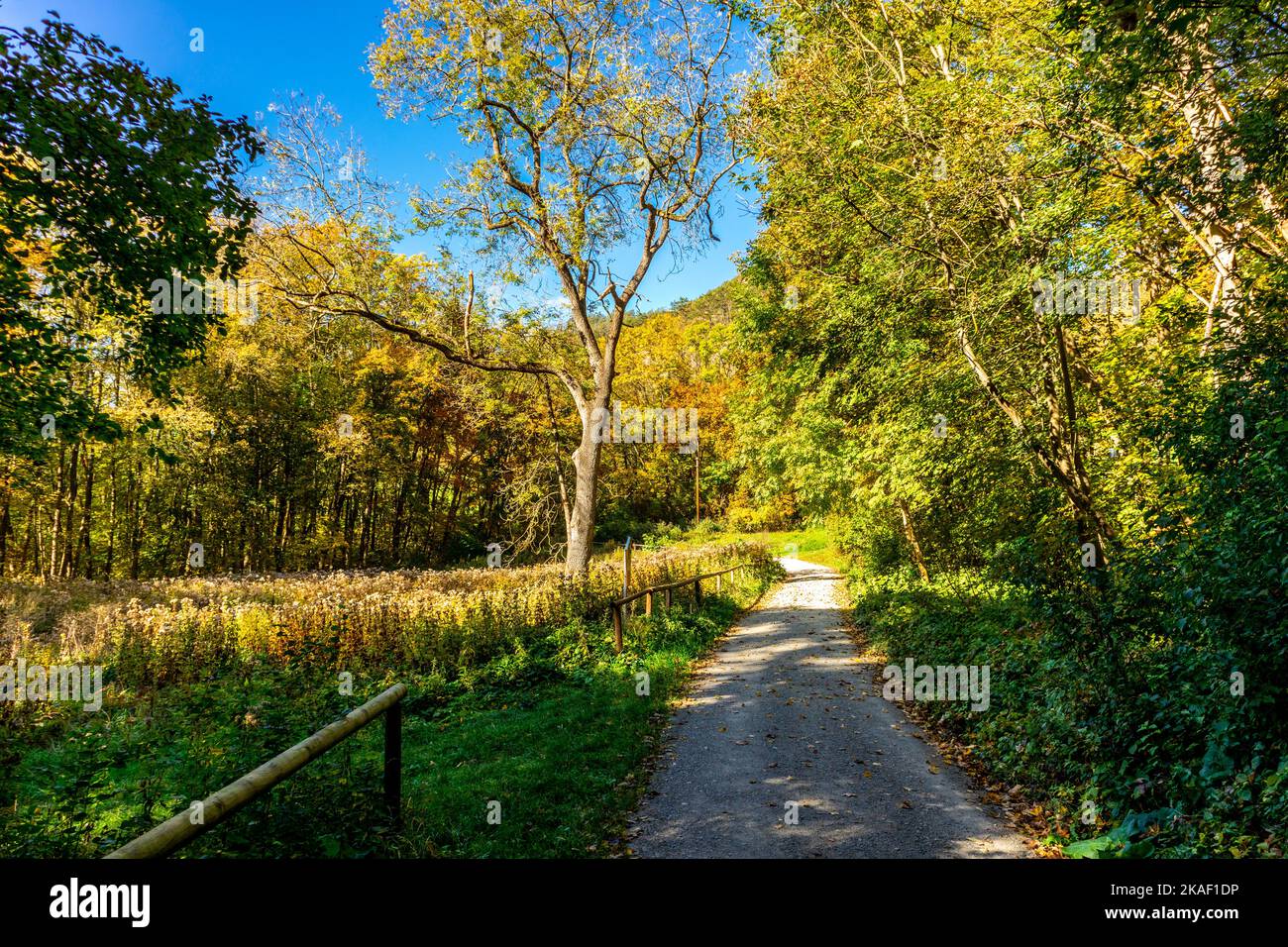 Small Autumn walk through the landscape of Jena - Thuringia - Germany ...