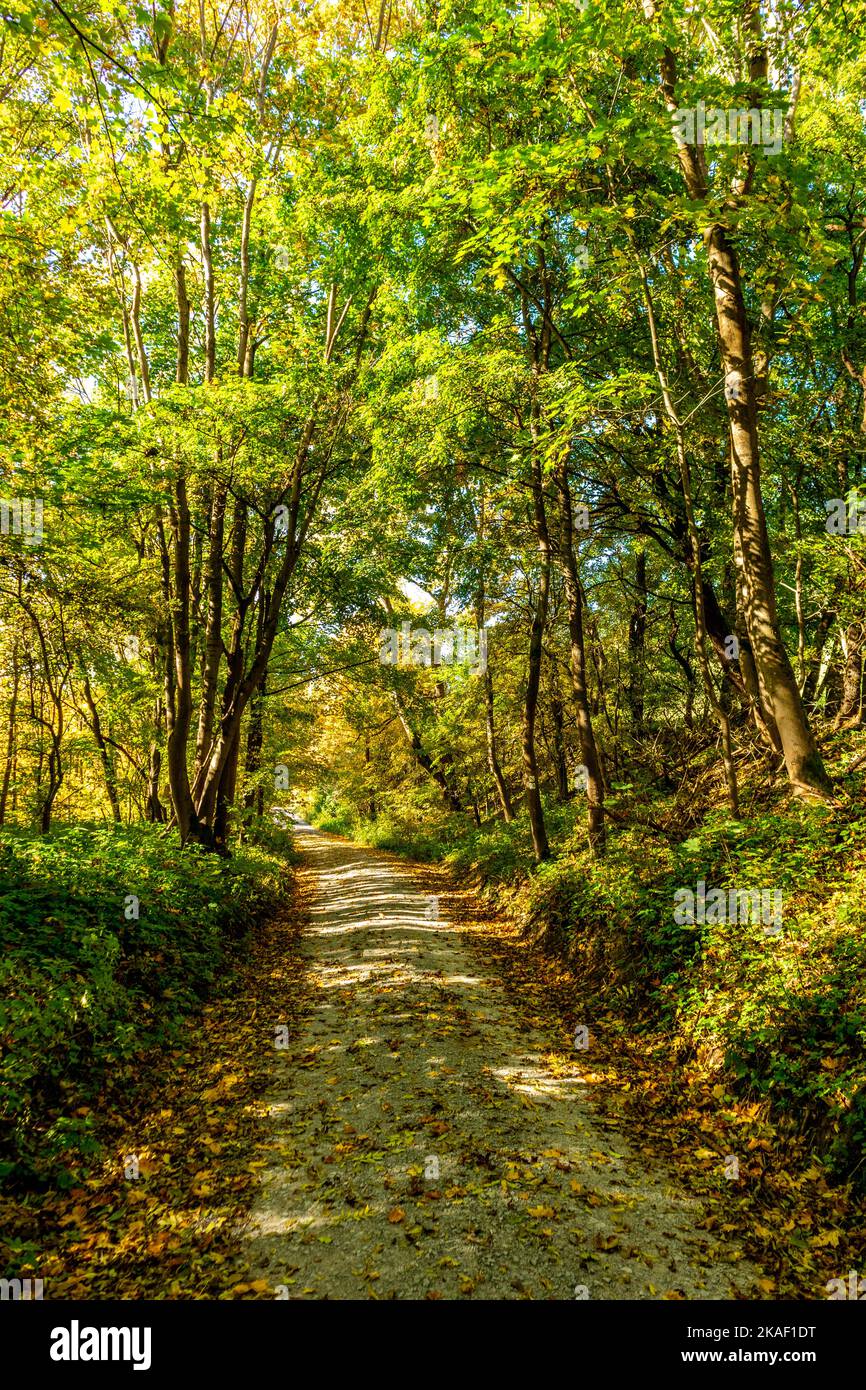 Small Autumn walk through the landscape of Jena - Thuringia - Germany ...