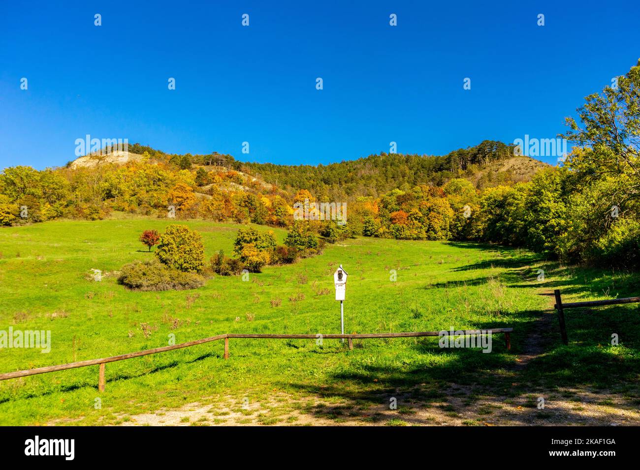Small Autumn walk through the landscape of Jena - Thuringia - Germany ...