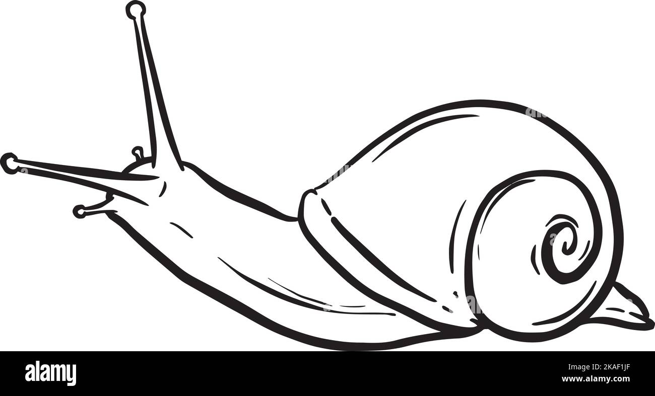 Line Art Outline of a Garden Snail with Shell for Logo or Mascot Design ...