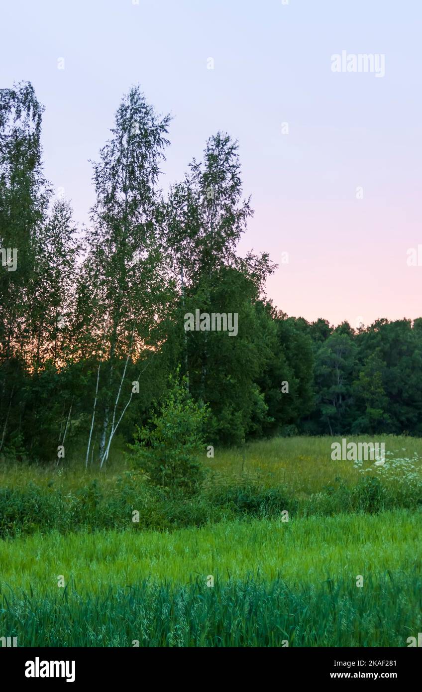Landscape with green field Stock Photo - Alamy