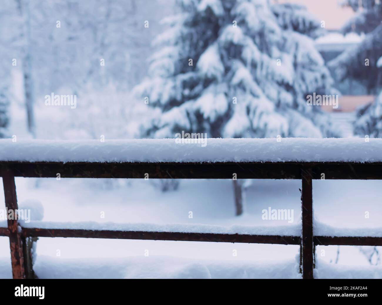 Snow-covered trees in urban park Stock Photo - Alamy
