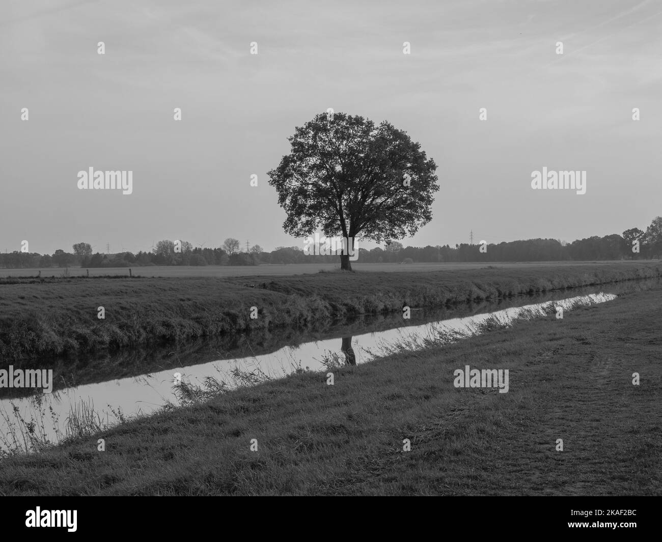 the vechte river in gemrany Stock Photo - Alamy