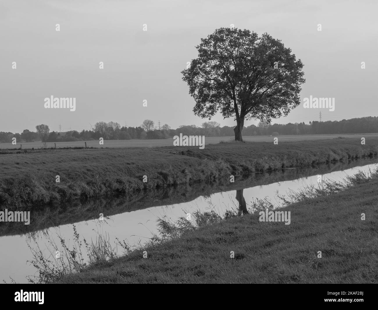 the vechte river in gemrany Stock Photo - Alamy