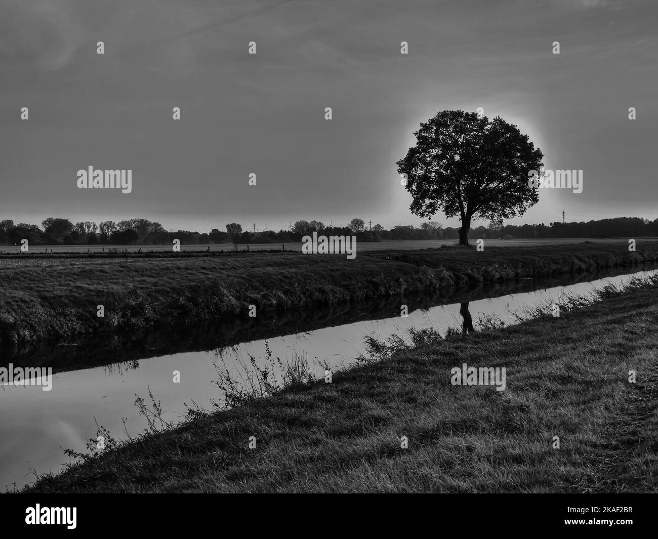 the vechte river in gemrany Stock Photo - Alamy