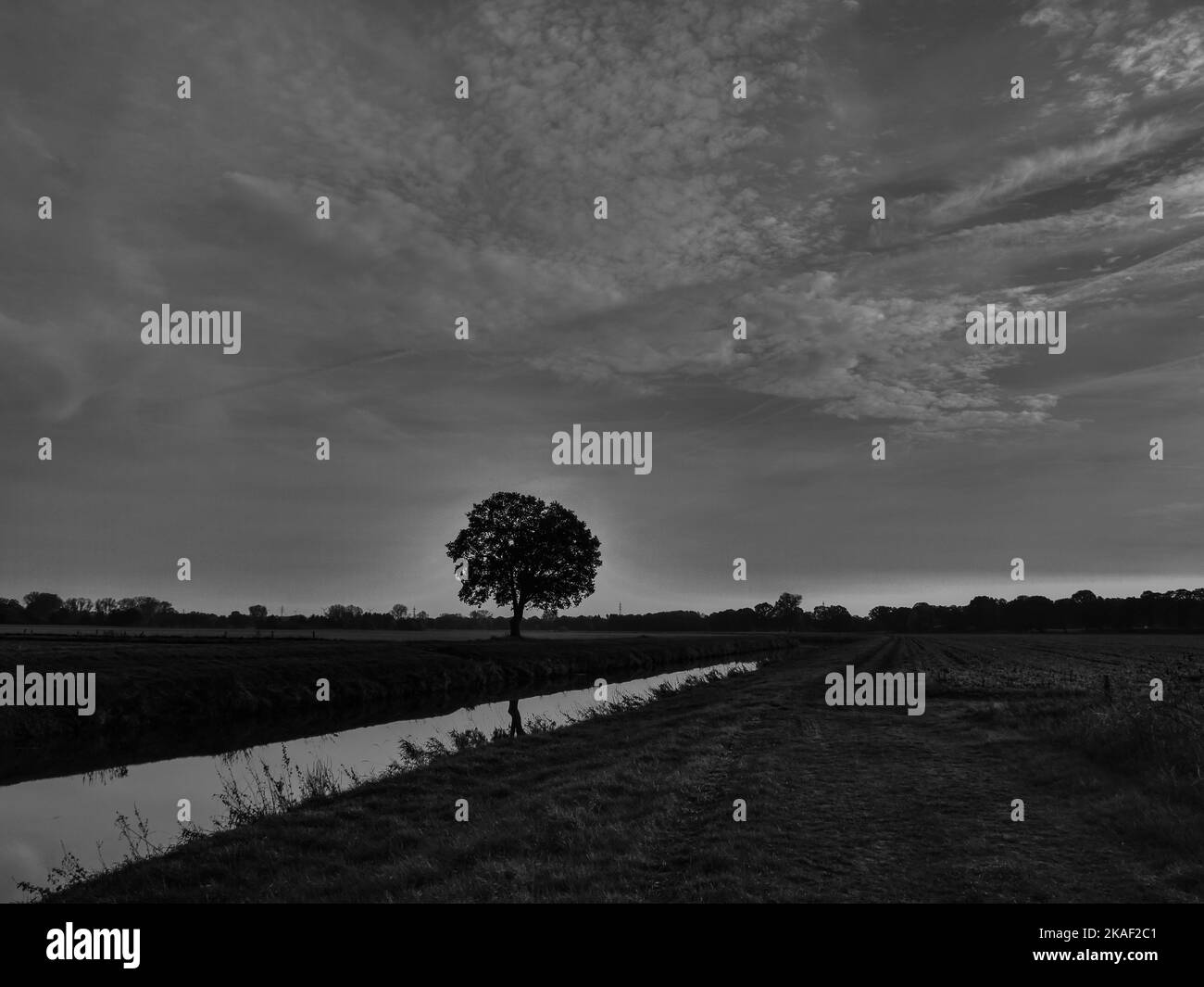 the vechte river in gemrany Stock Photo - Alamy