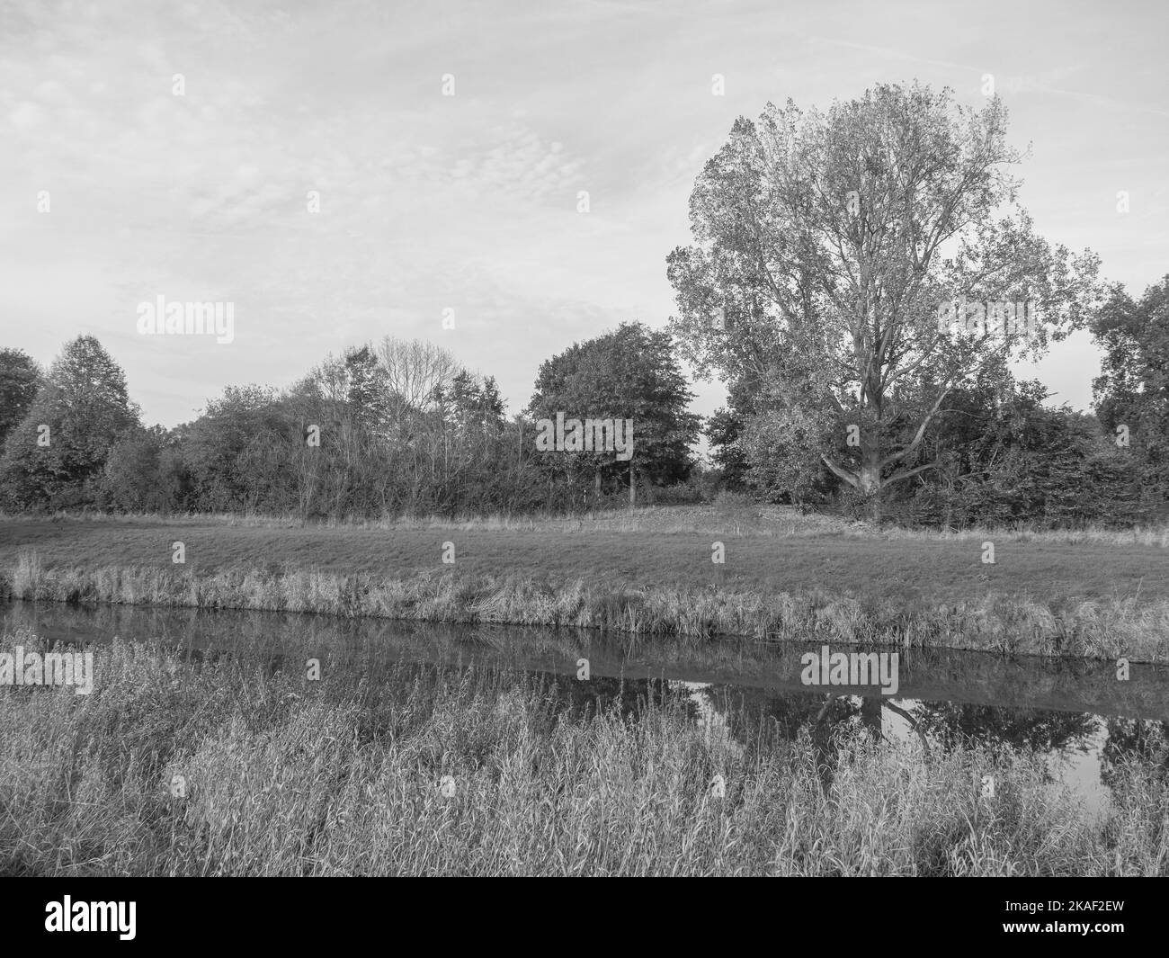 the vechte river in gemrany Stock Photo - Alamy