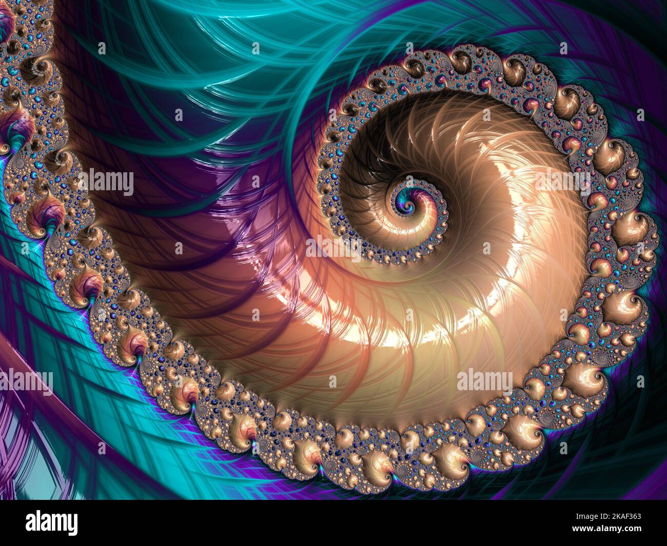 The view of beige and blue shaded spiral-shaped decorative shell ...