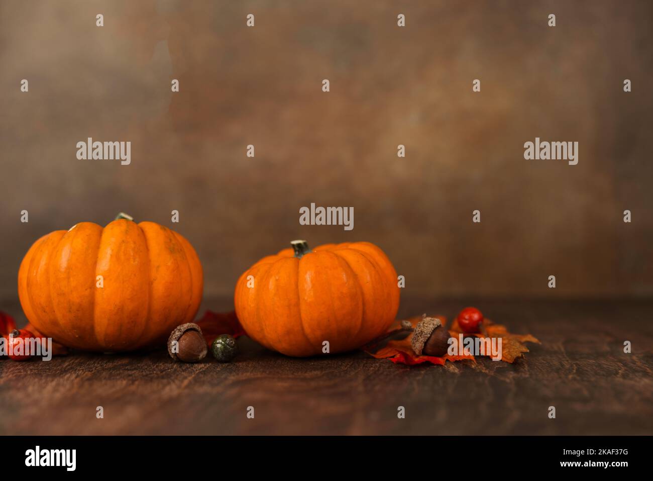 A row of miniature orange pumpkins on a rustic wood surface with a ...