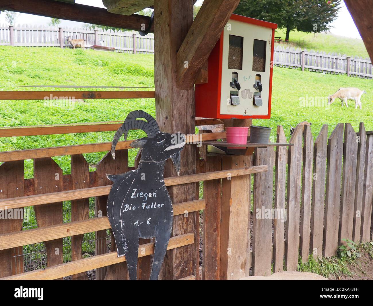 A former gum machine as a goat feeder and a goat sign around a wooden ...