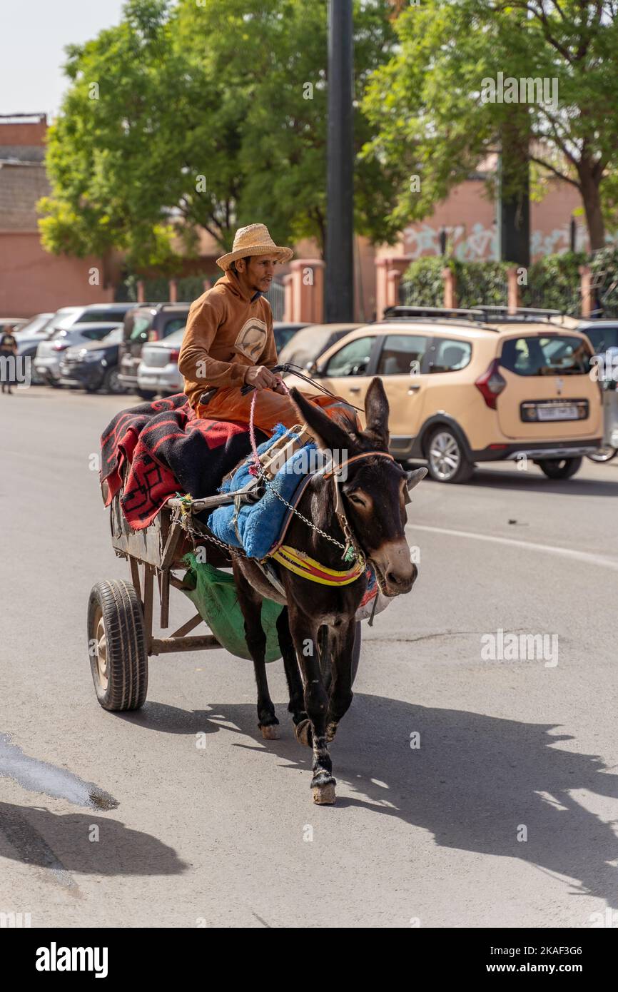 A vertical of a man riding a donkey-towed cart in the streets of ...